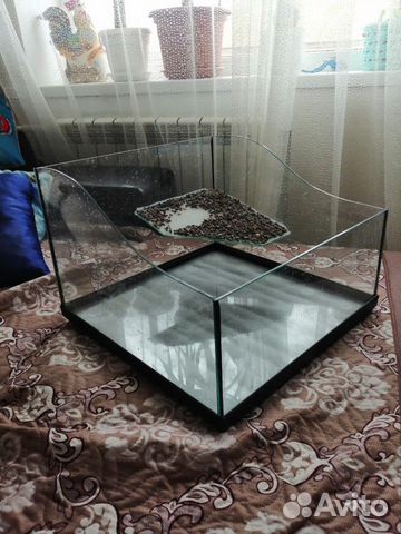 Черепашник