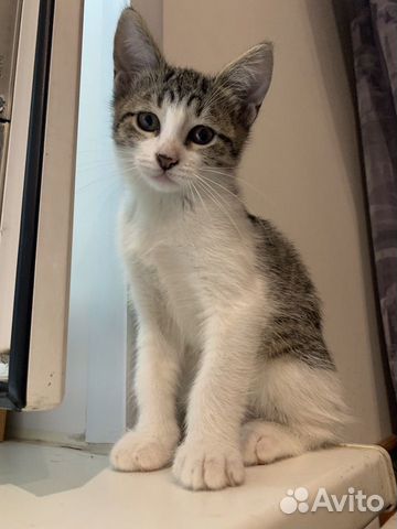 Малышка в добрые руки