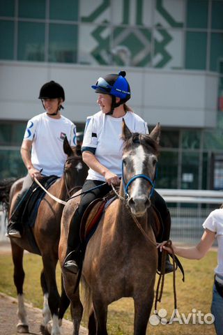 Кобыла 3,5 года