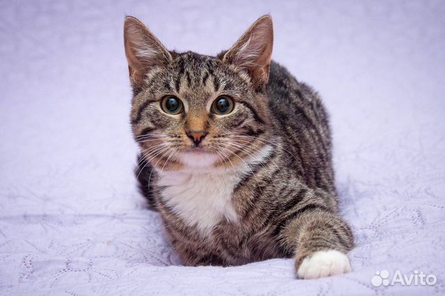 Малышка Нюся в добрые руки