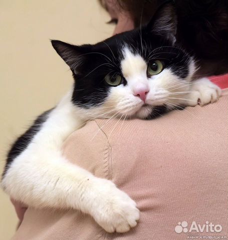 Умка ищет дом