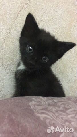 Маленький комочек счастья