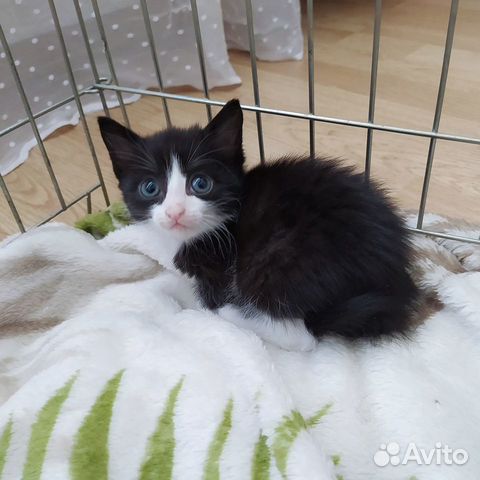 Красоточка Минни в добрые ручки