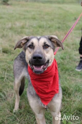 Молодая девочка Брусника погибает в приюте