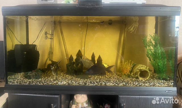 Аквариум с тумбой Ferplast 230 литров