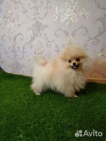 Микро девочка