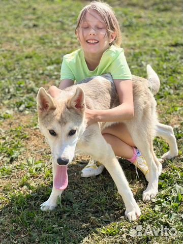 Эмми мечтает о доме