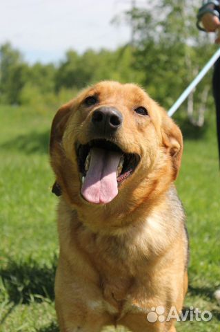 В окружающих Баффи хочет видеть только хорошее