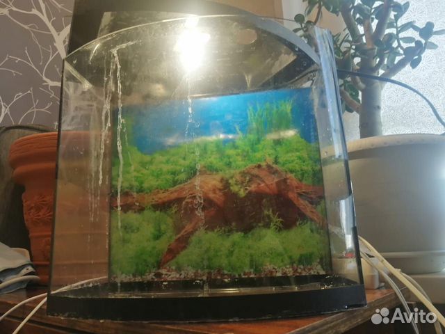 Аквариум 25 литров. Ребенку бесплатно