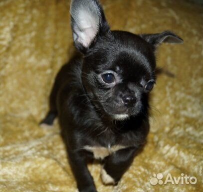 Мальчик черный