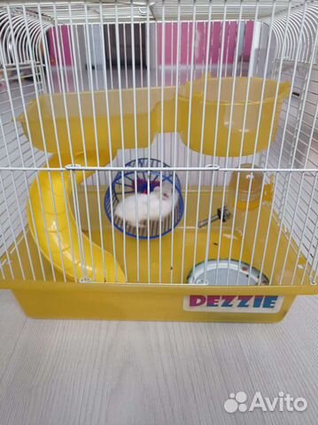 Клетка с джунгарским хомяком