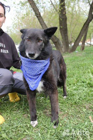 Всю жизнь в приюте