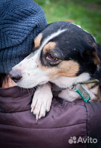 Спасена из черного поиюта