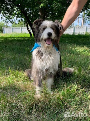 Самый красивый парень умрет в приюте