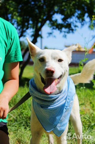 Заберите Виолу домой