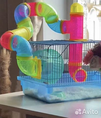 Продам клетку с джунгарскими хомяками