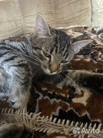 Европейская