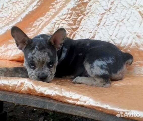 Мальчик с документами