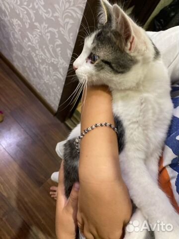 Ласковый Мальчик