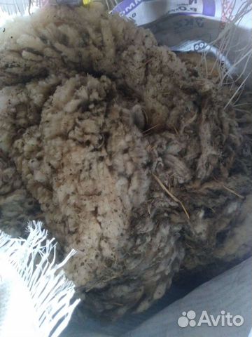 Продаётся шерсть