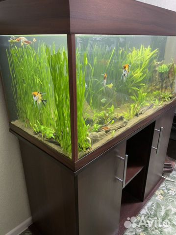 Аквариум 200 л. Полный комплект