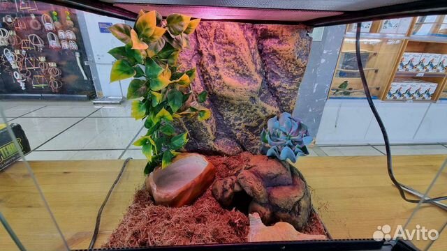 Террариум для рептилий и насекомых