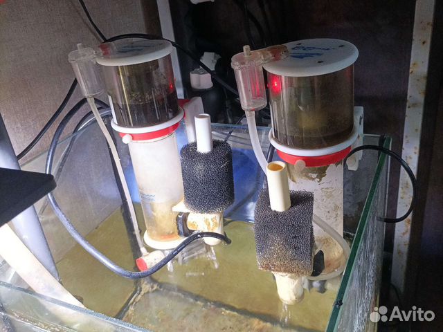 Пенники Bubble magus qq1