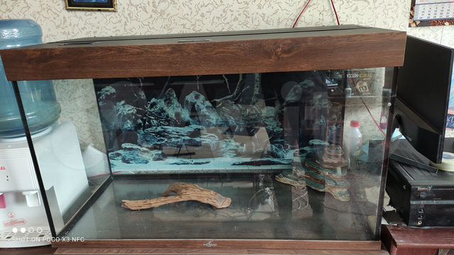 Аквариум-Биодизайн Риф 250