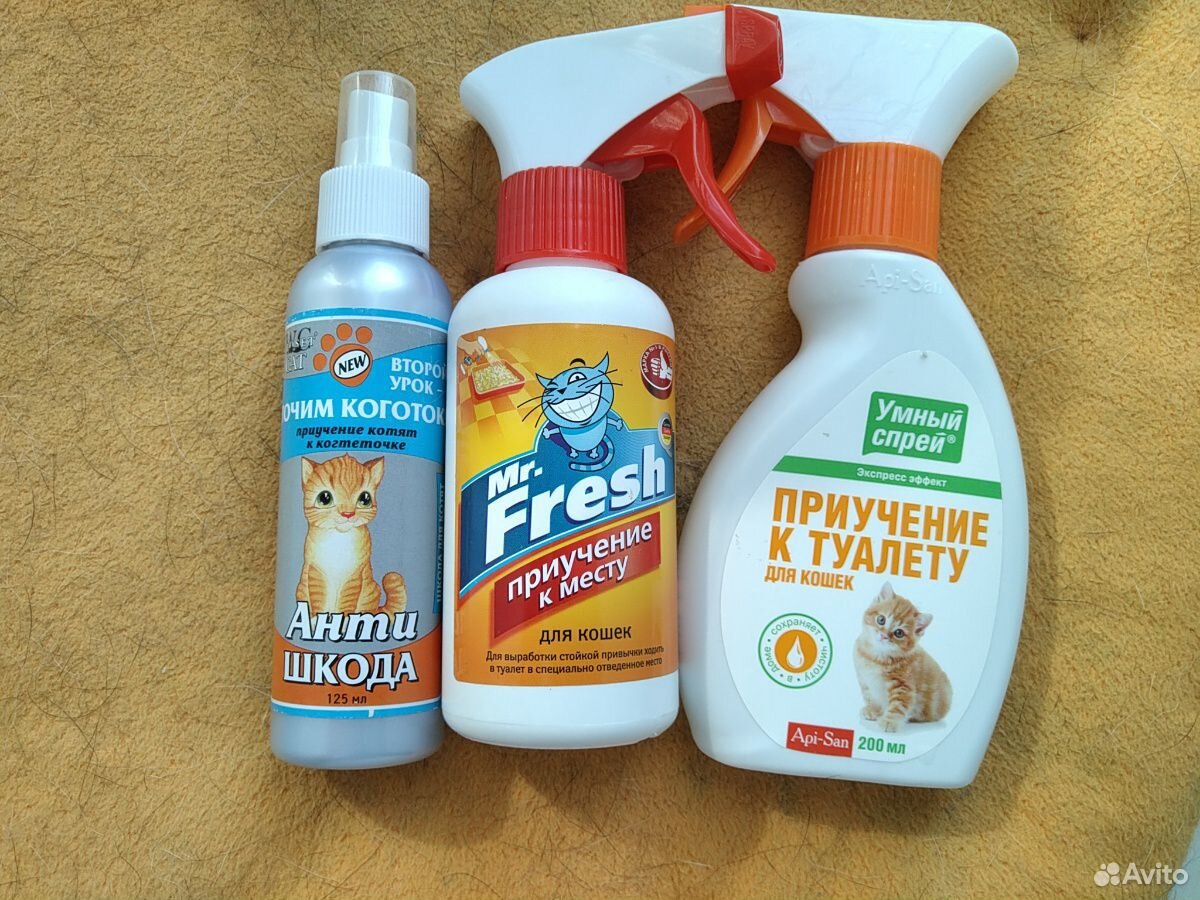 Спрей для приучения кошки к лотку