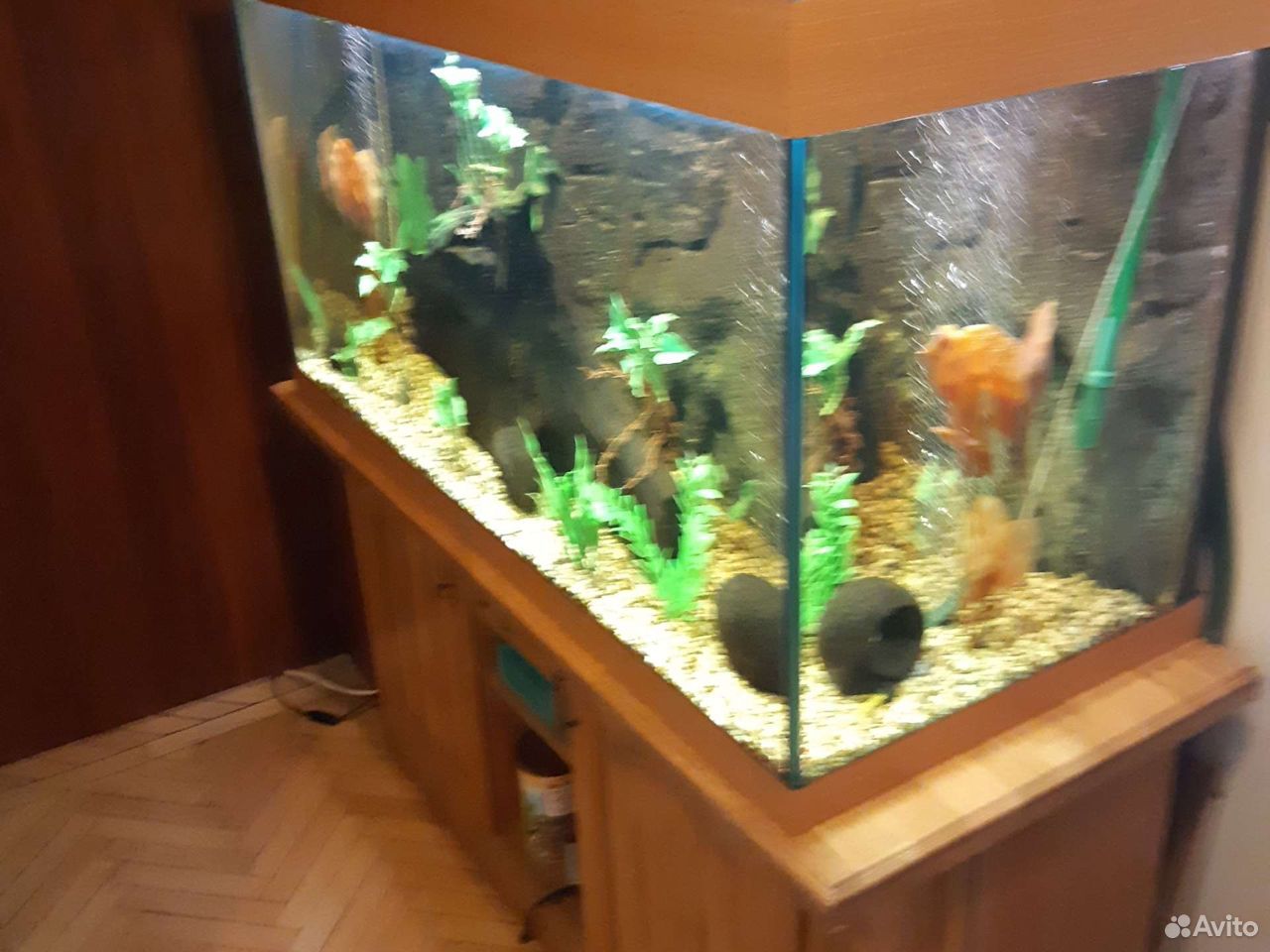 Аквариум Juwel 350 с объёмным фоном и полным компл