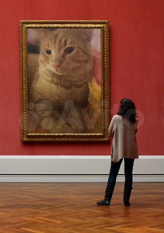 Котик Людвиг