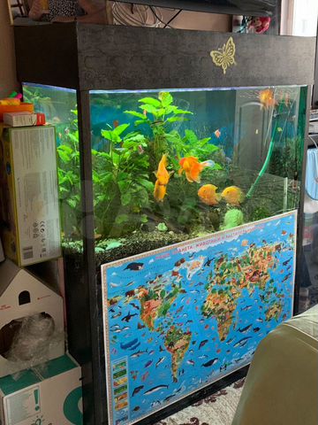 Аквариум с тумбой